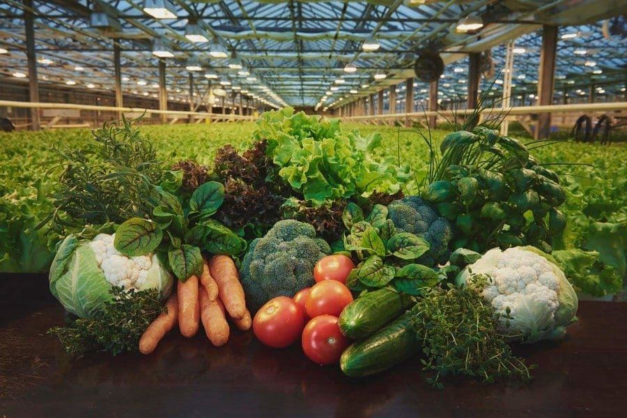 12 Traditional Things to Eat in Iceland | Iceland Travel