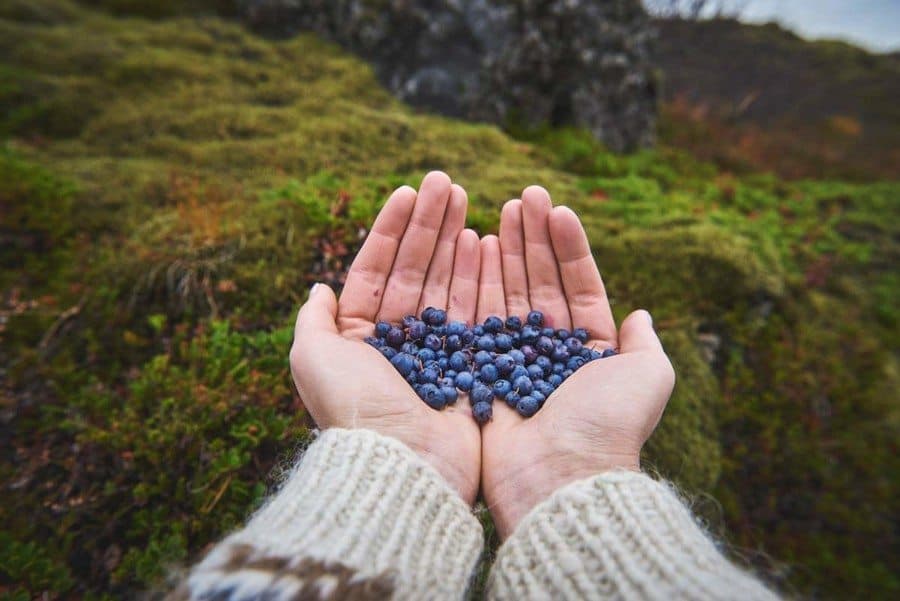 12 Traditional Things to Eat in Iceland | Iceland Travel