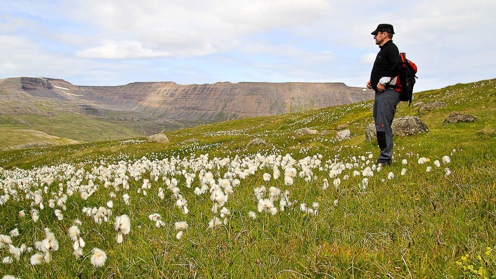 Adalvik bay - a popular hiking area | Westfjords | Iceland Travel