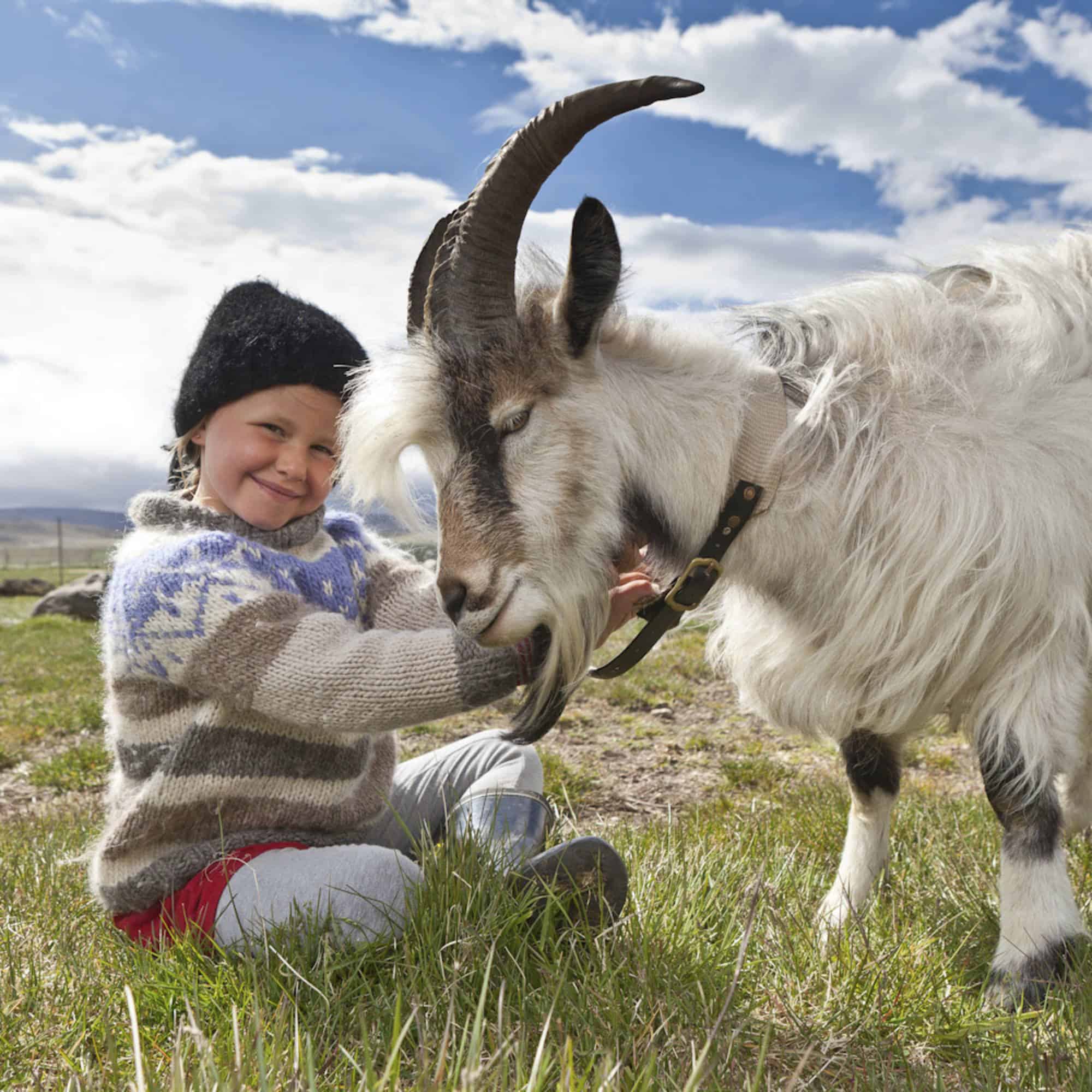 Iceland With Kids | A Family Travel Guide | Iceland Travel